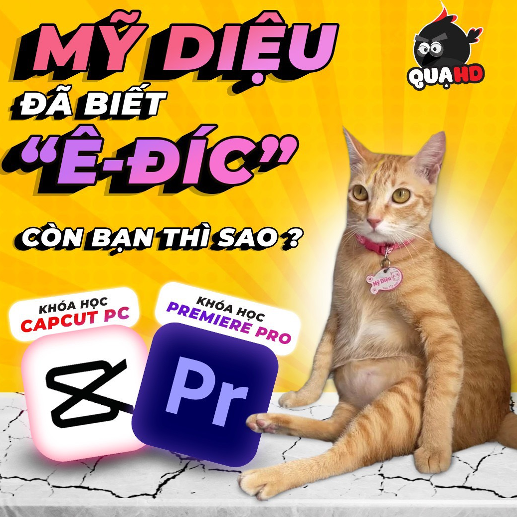 Kh a H c Adobe Premiere Pro N ng Cao Online Qu HD 2022 T p H a MMO